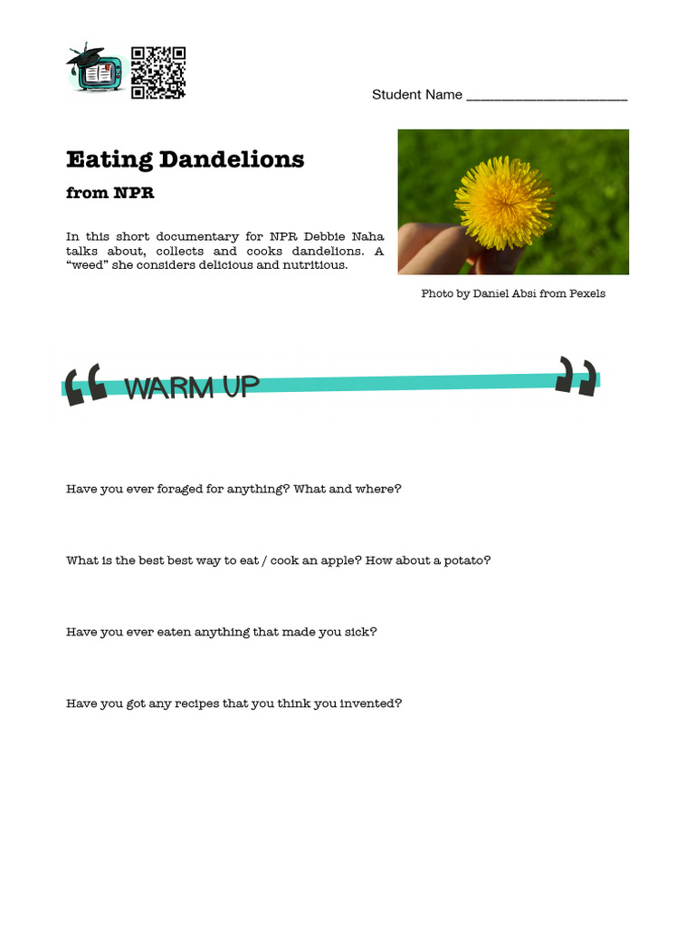 Foraging and Cooking Dandelions | PDF | Plants | Foods