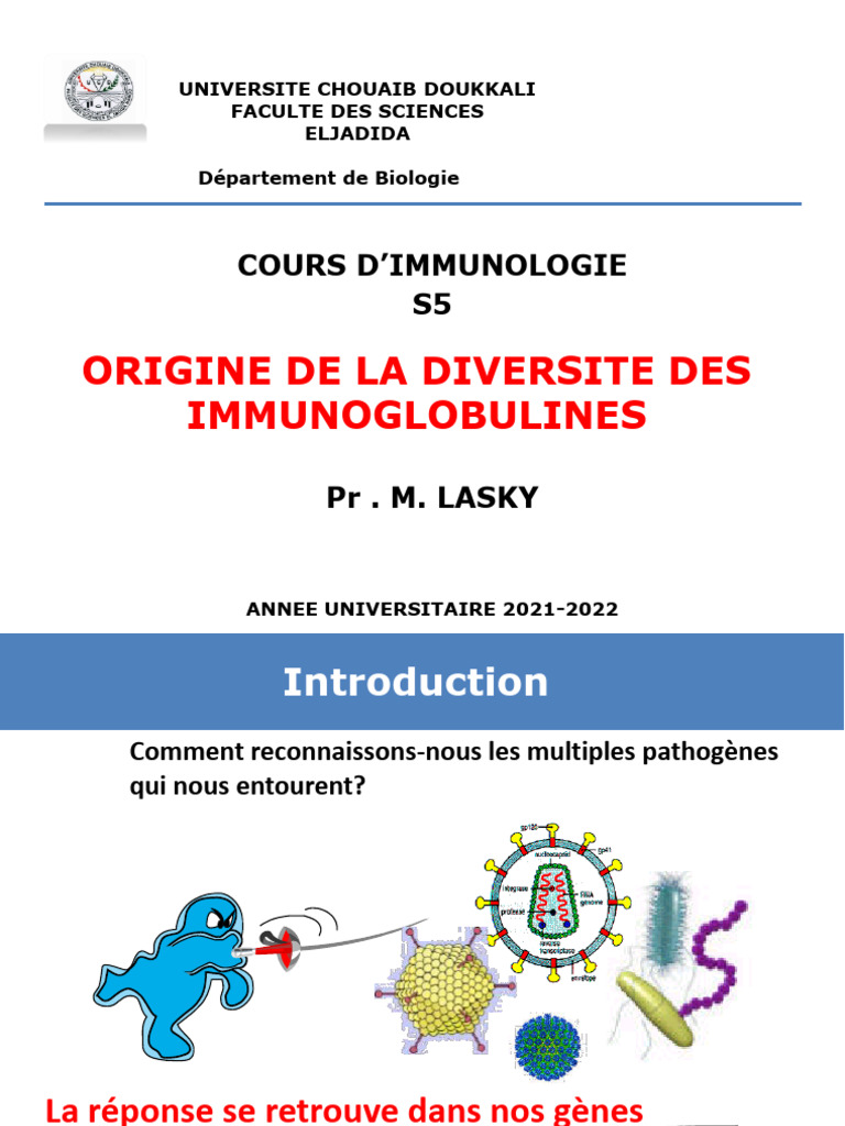 Origine de la diversité des anticorps | PDF | Anticorps | Lymphocyte B
