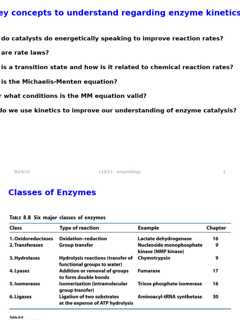 L11 - 12 - Enzyme Kinetics | PDF | Enzyme | Enzyme Kinetics