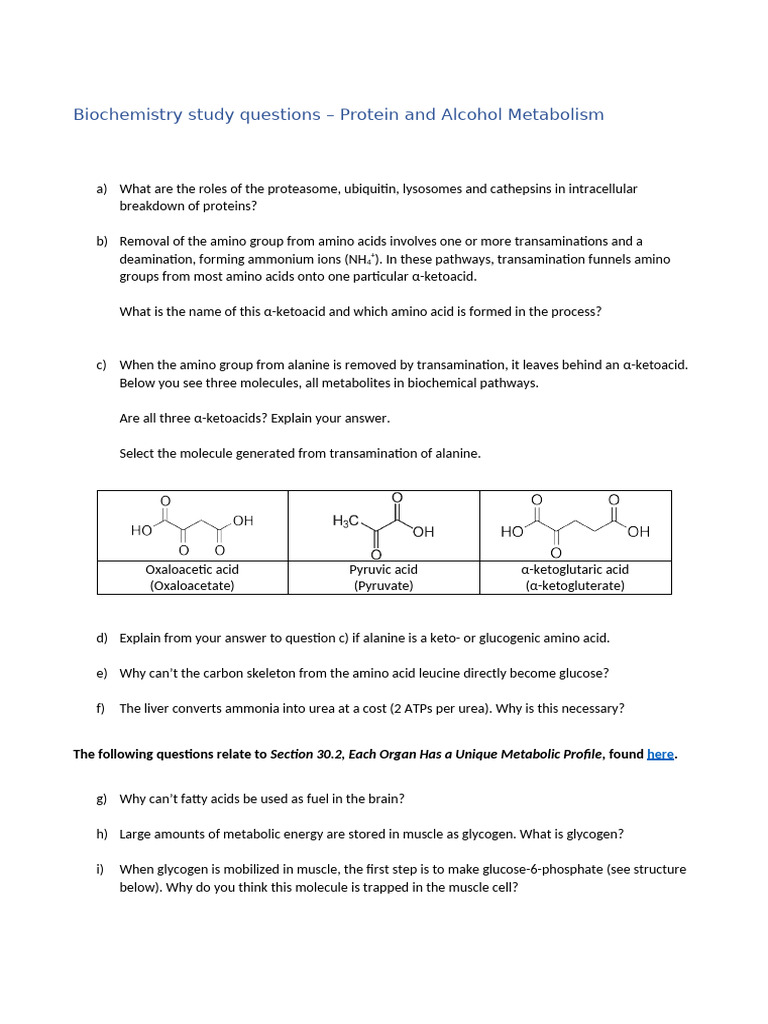 Protein and Alcohol Metabolism Study Questions | PDF | Metabolism ...