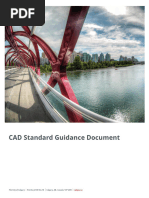 Cad Standard | PDF | Auto Cad