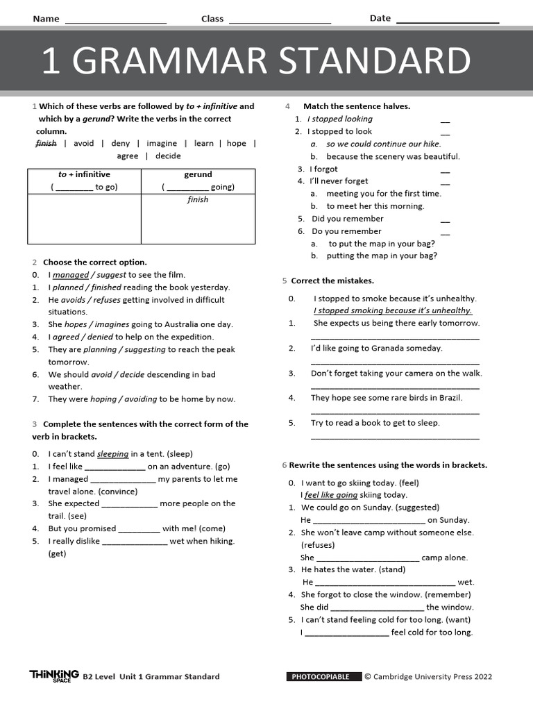 Grammar 1 | PDF | Linguistic Typology | Language Mechanics