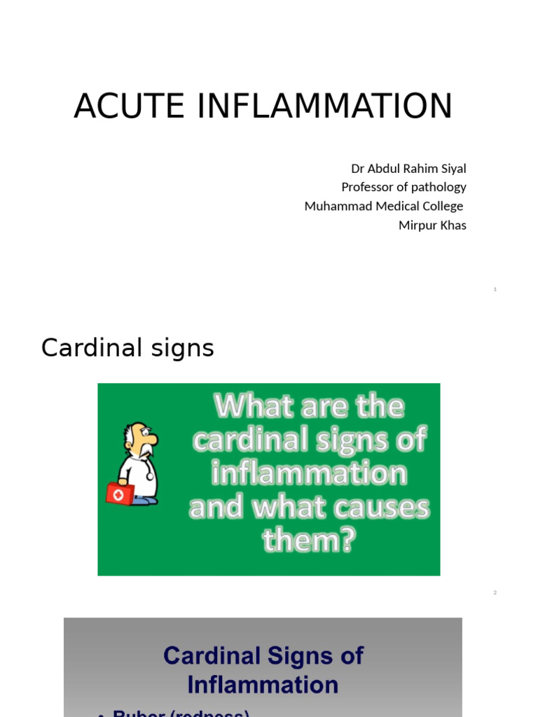 Acute Inflammation | PDF