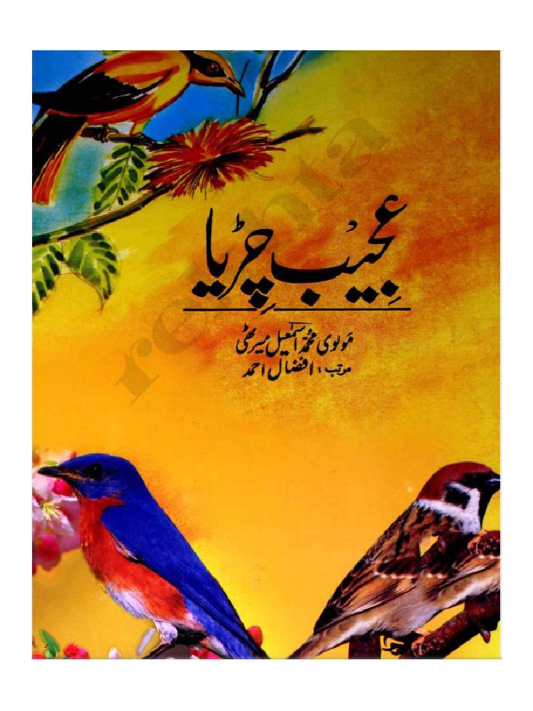 Ajeeb Chidiya - Ismail Merathi | PDF