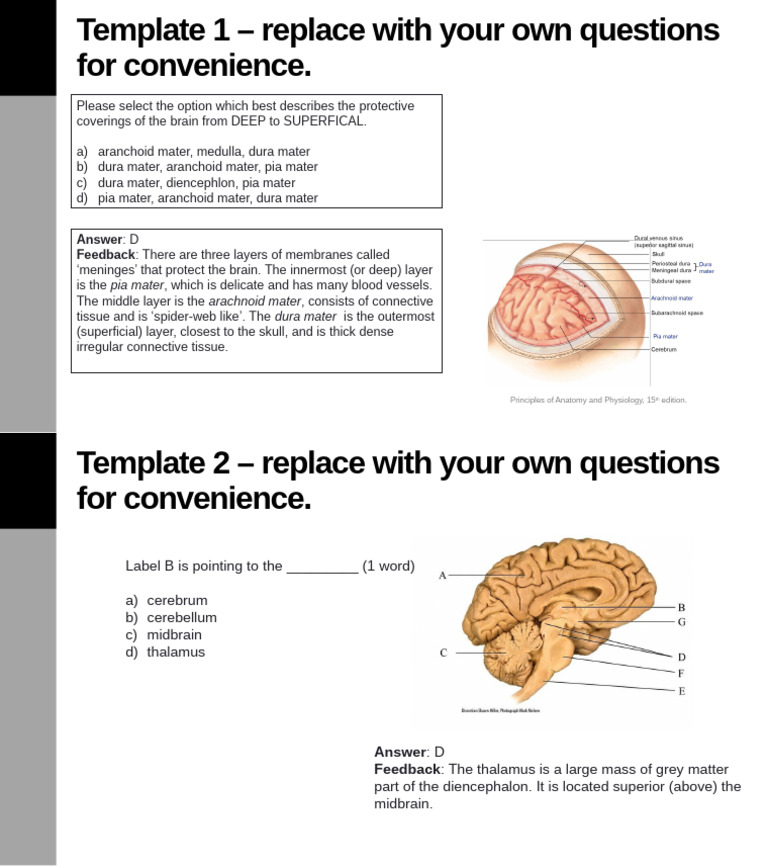 2C03 Templates for Student Use | PDF
