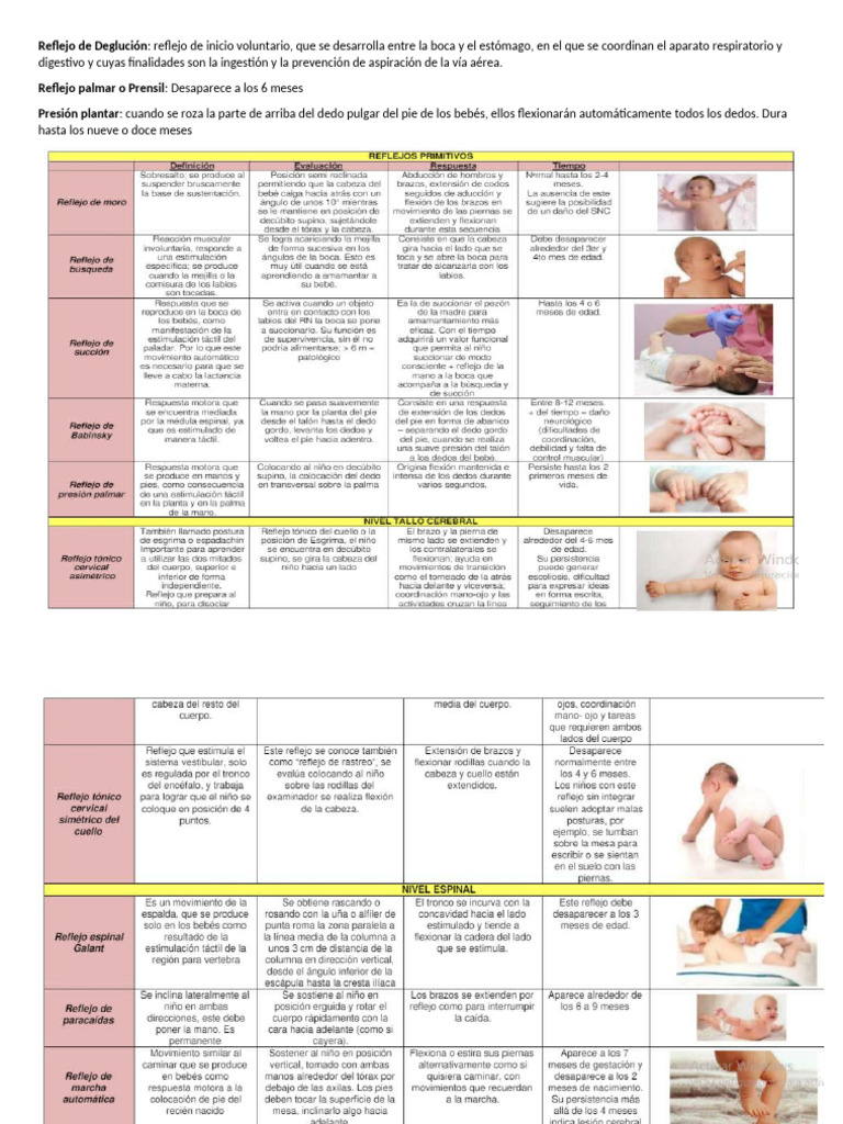 Reflejos del niño | PDF