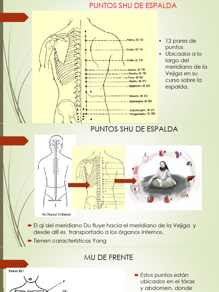 Puntos Shu y Mu: Energía y Diagnóstico | PDF