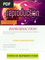 s1 Biology Notes | PDF | Tissue (Biology) | Microscope