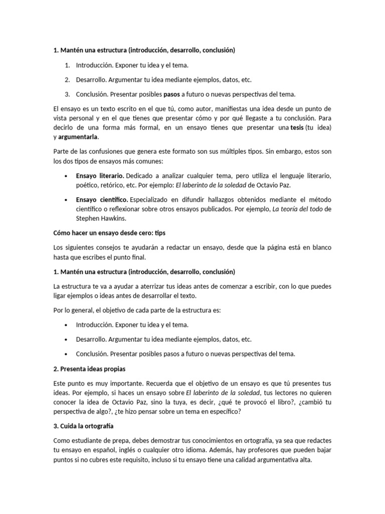 EJEMPLO DE ENSAYO 1 | PDF | Ensayos | Escritura