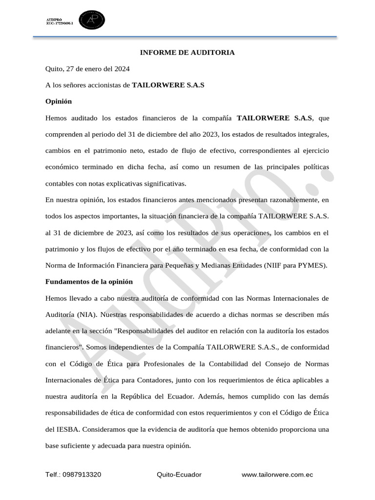 Informe Borrador | PDF | Auditoría | Preocupación continua