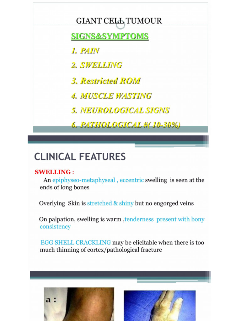 Presentation 3 | PDF