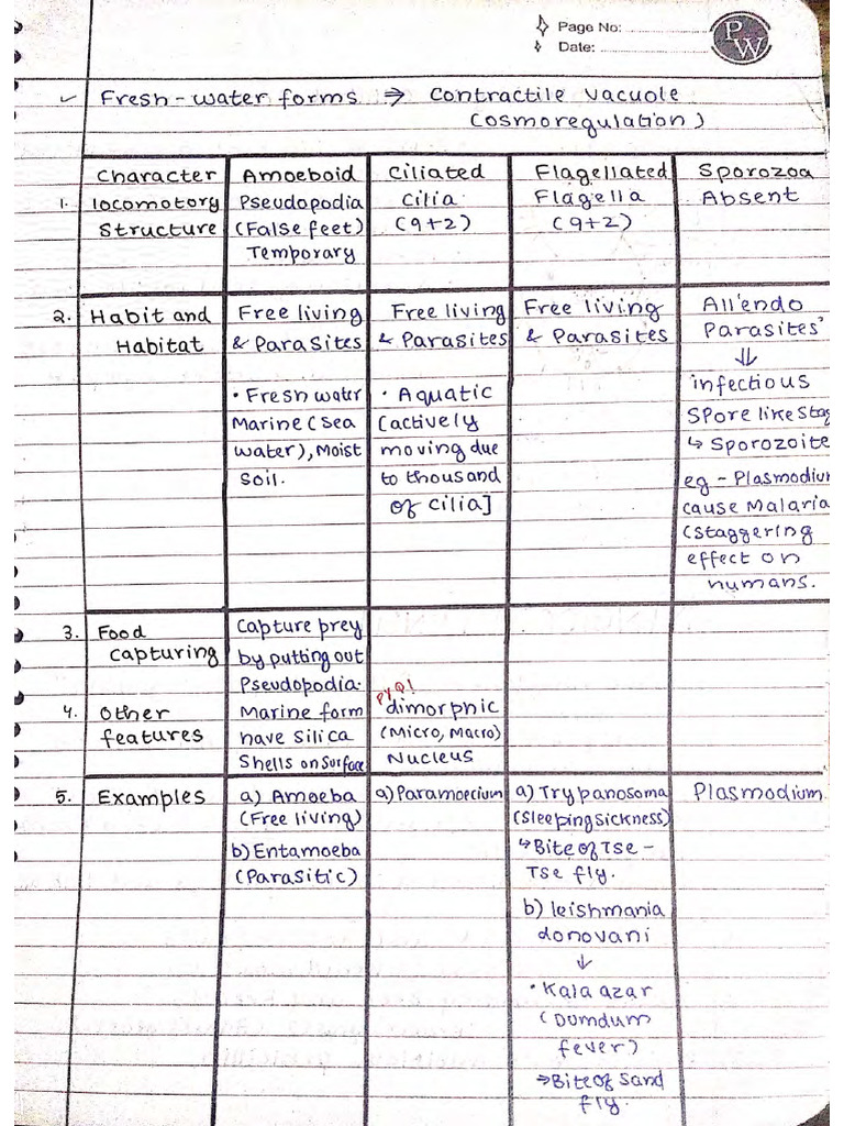 Biological Classification Notes | PDF