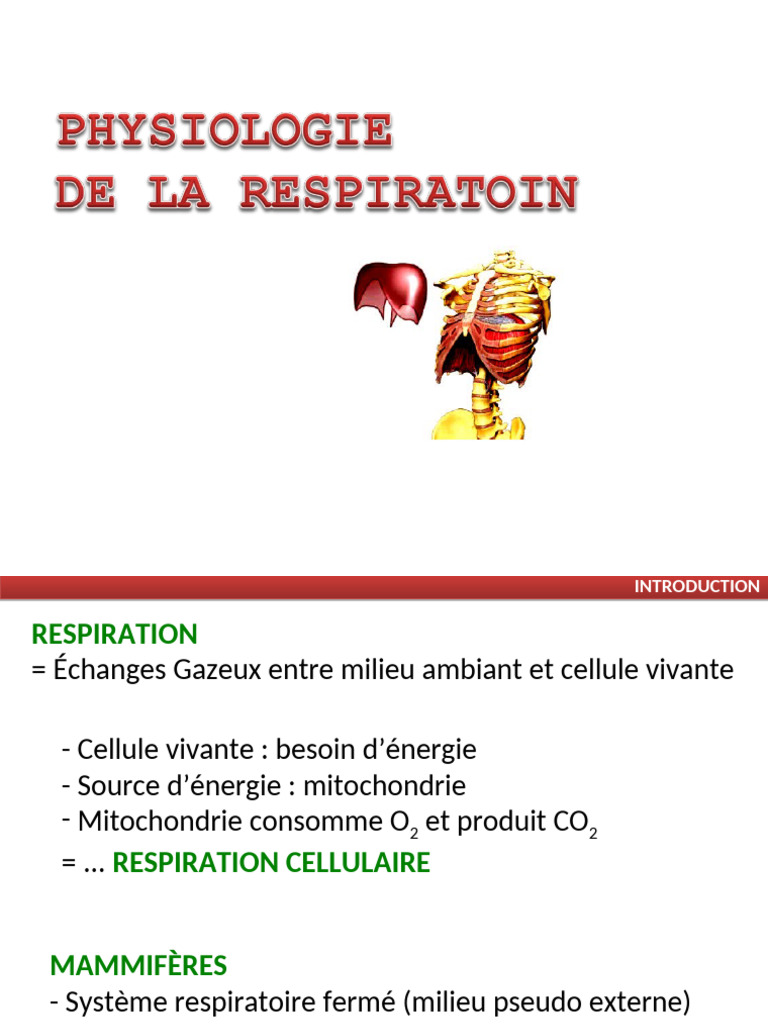 Physiologie de l'expiration passive | PDF | Système respiratoire ...