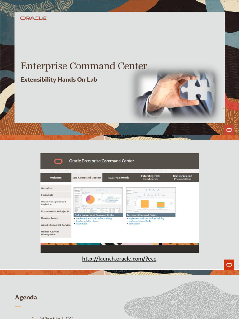 Empowering Oracle E-Business Suite User Experience - Data Discovery and ...