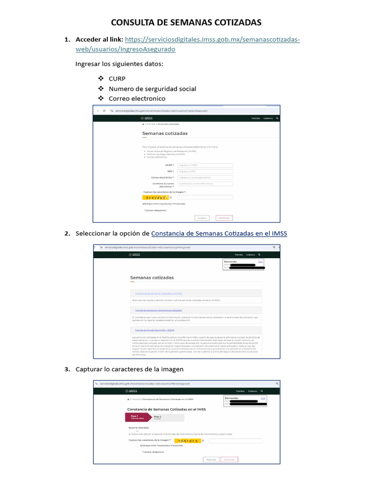 Consulta y Descarga de Semanas Cotizadas IMSS | PDF