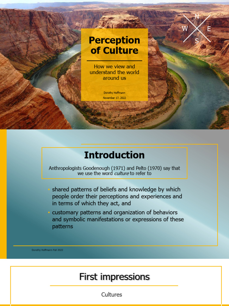 Ppt-Pdf-10-Perception of Culture-DH23 | PDF | Prejudices | Stereotypes