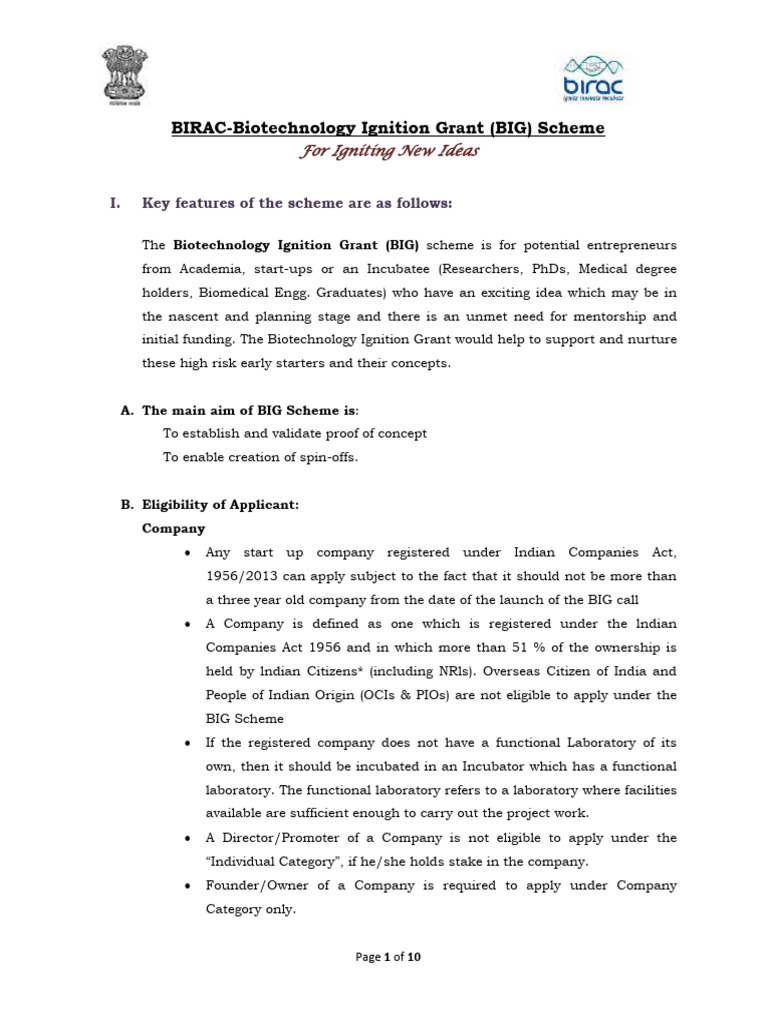 Big Guidelines 5 | PDF | Business