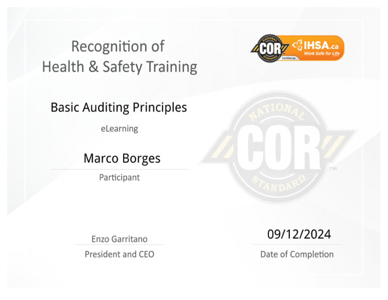 COR Certificate Basic Auditing Principles | PDF