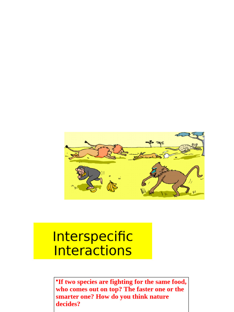 Intersp Interactions Part1 | PDF | Ecological Niche | Herbivore