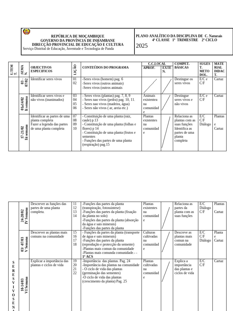 Plano Analitico 4 Classe C .N Revisto | PDF | Plantas | Organismos