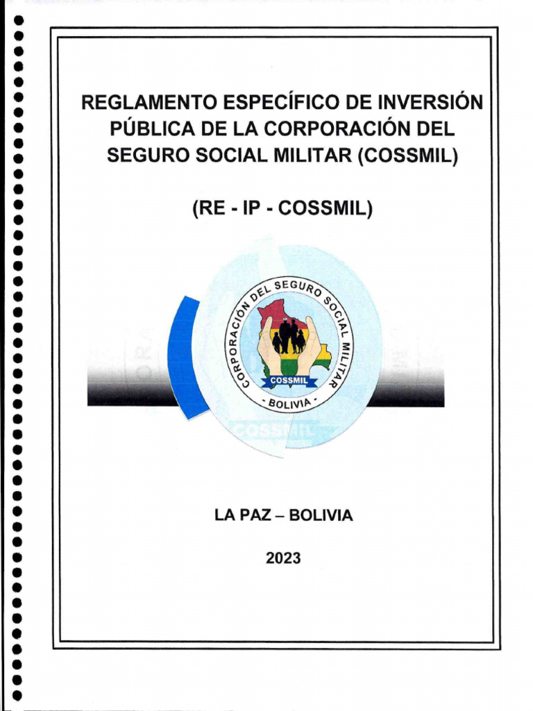 Reglamento Especifico Inversion Publica | PDF