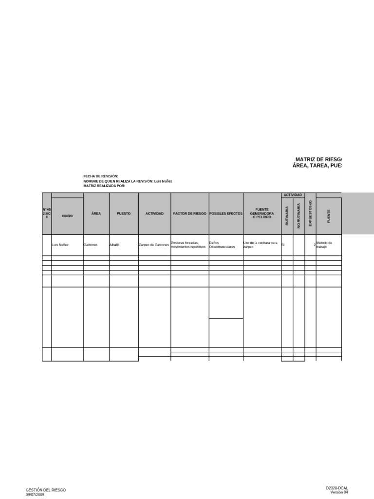 Matriz de trabajo GIR | PDF | Enfermedades y trastornos ...