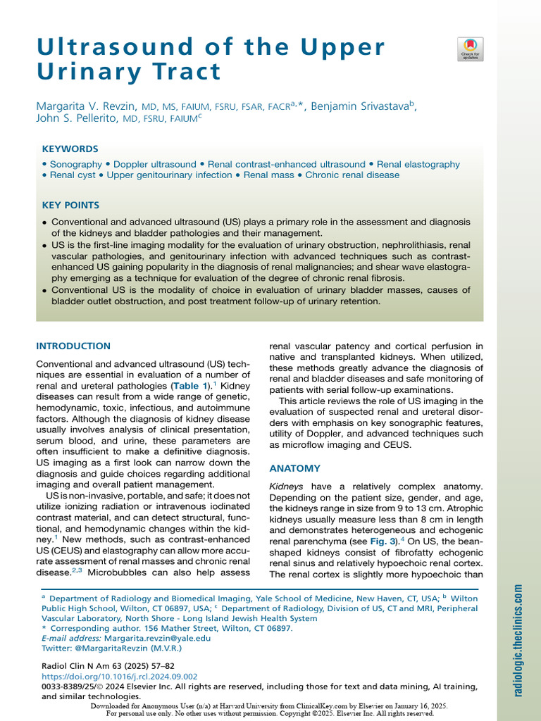 Eco Tracto Urinario | PDF | Medical Ultrasound | Kidney