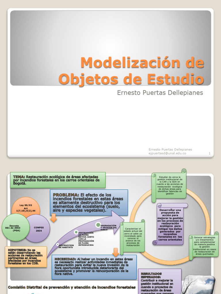 Modelacion de Objetos de Estudio | PDF | Entorno natural