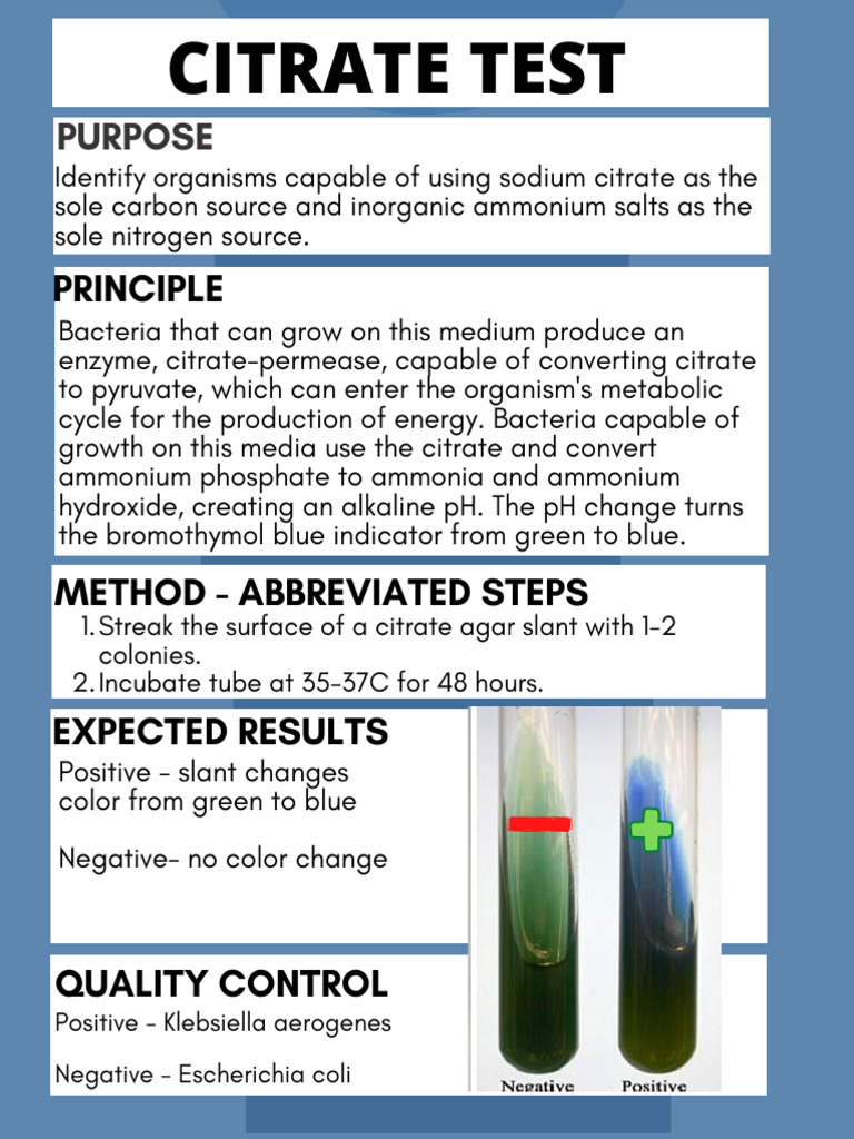 Citrate Test | PDF