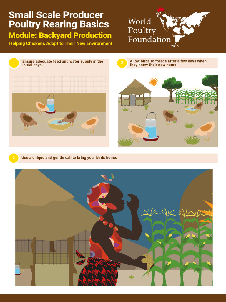 Backyard Production A1 INFOGRAPHIC | PDF