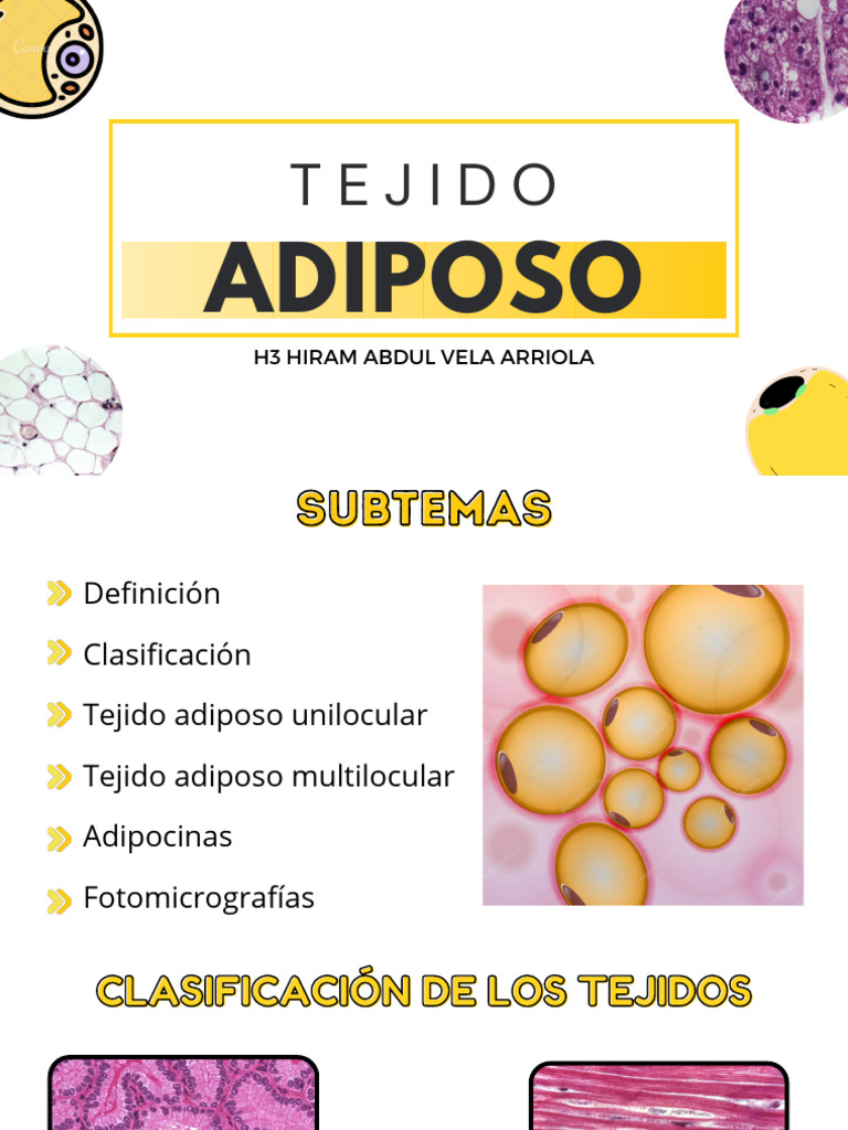 Tejido Adiposo | PDF | Tejido adiposo | Biología