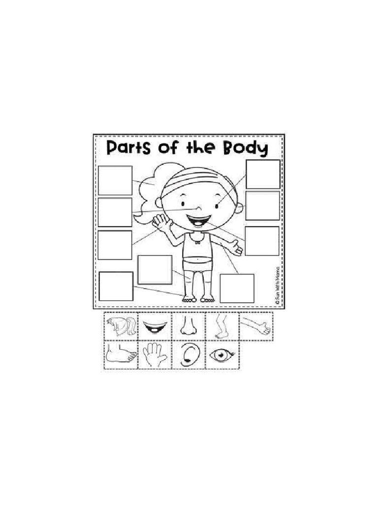 My Body Labeling Worksheet | PDF