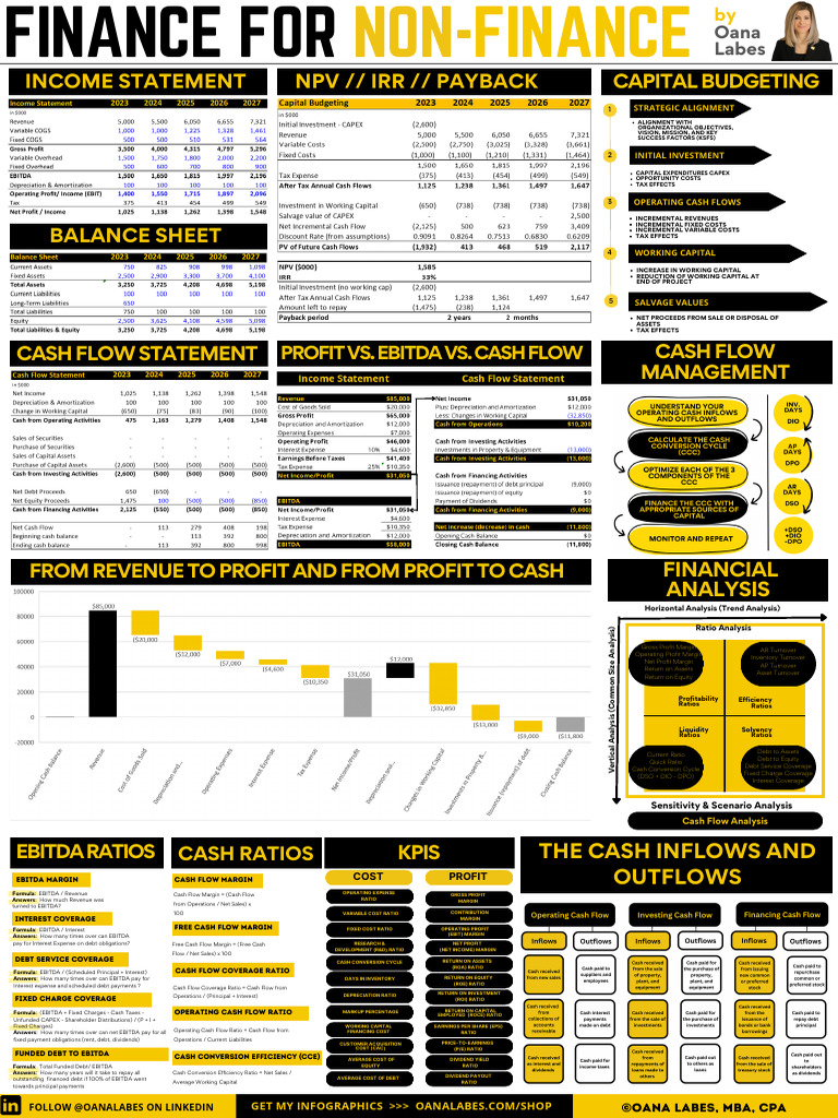 The Finance For Non-Finance Cheat Sheet - Oana Labes, MBA, CPA | PDF ...
