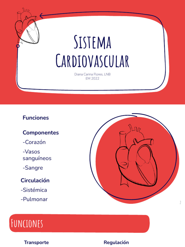 Coraz%C3%B3n+y+vasos | PDF | Sistema circulatorio | Corazón