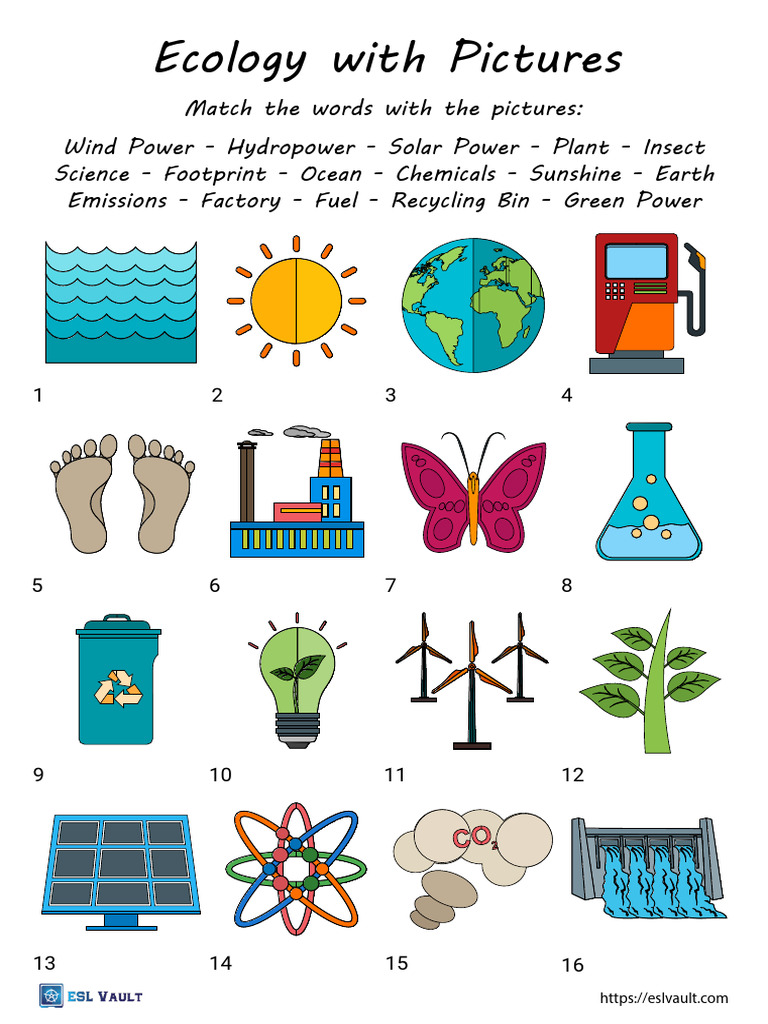 Eco Vocabulary Matching Game | PDF