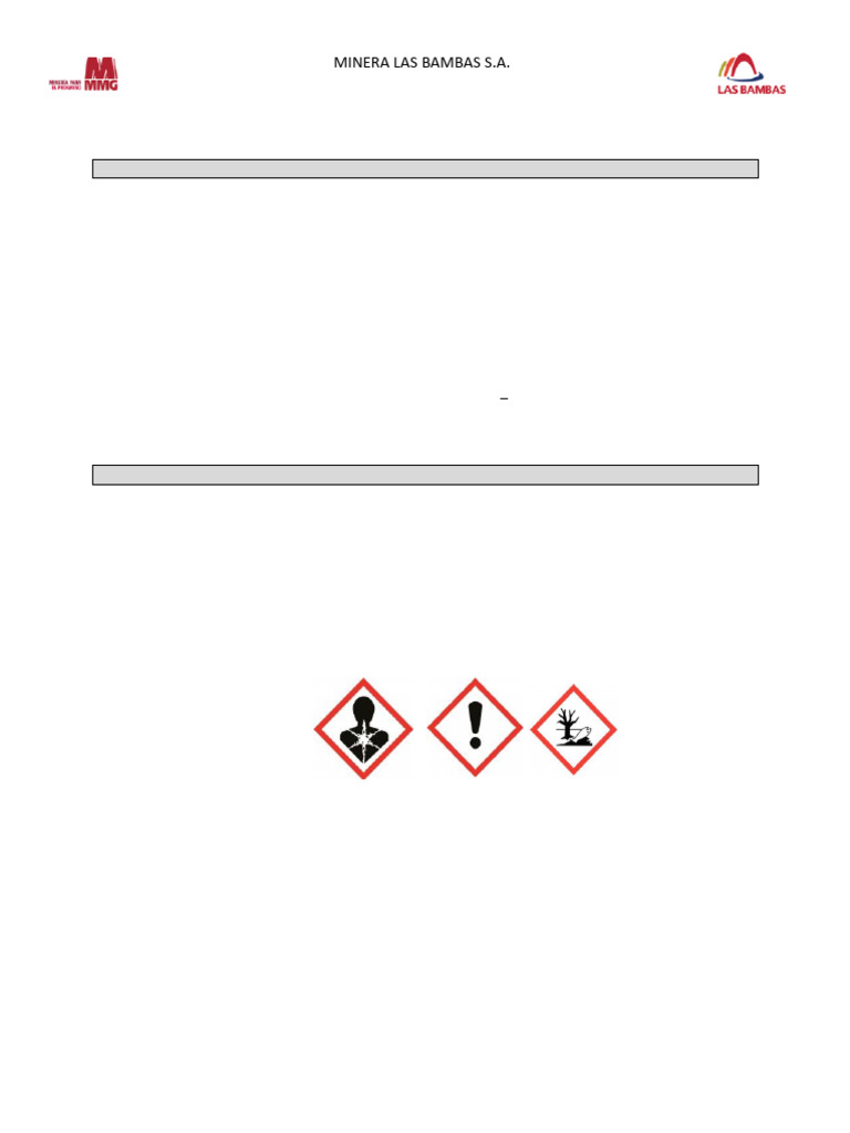 HDS Concentrado de Molibdeno | PDF | Administración de Seguridad y Salud Ocupacional | Toxicidad
