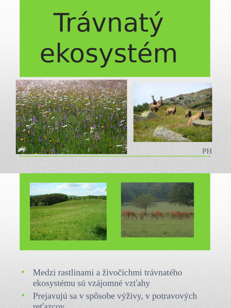 Trávnatý Ekosystém | PDF