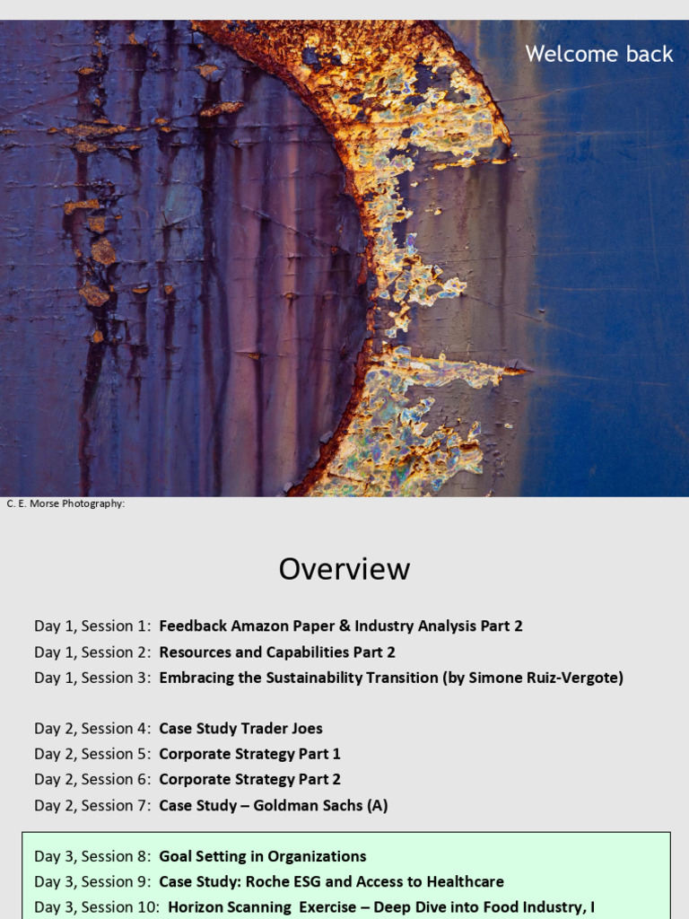 Effective Goal Setting in Organizations | PDF | Goal | Goal Setting