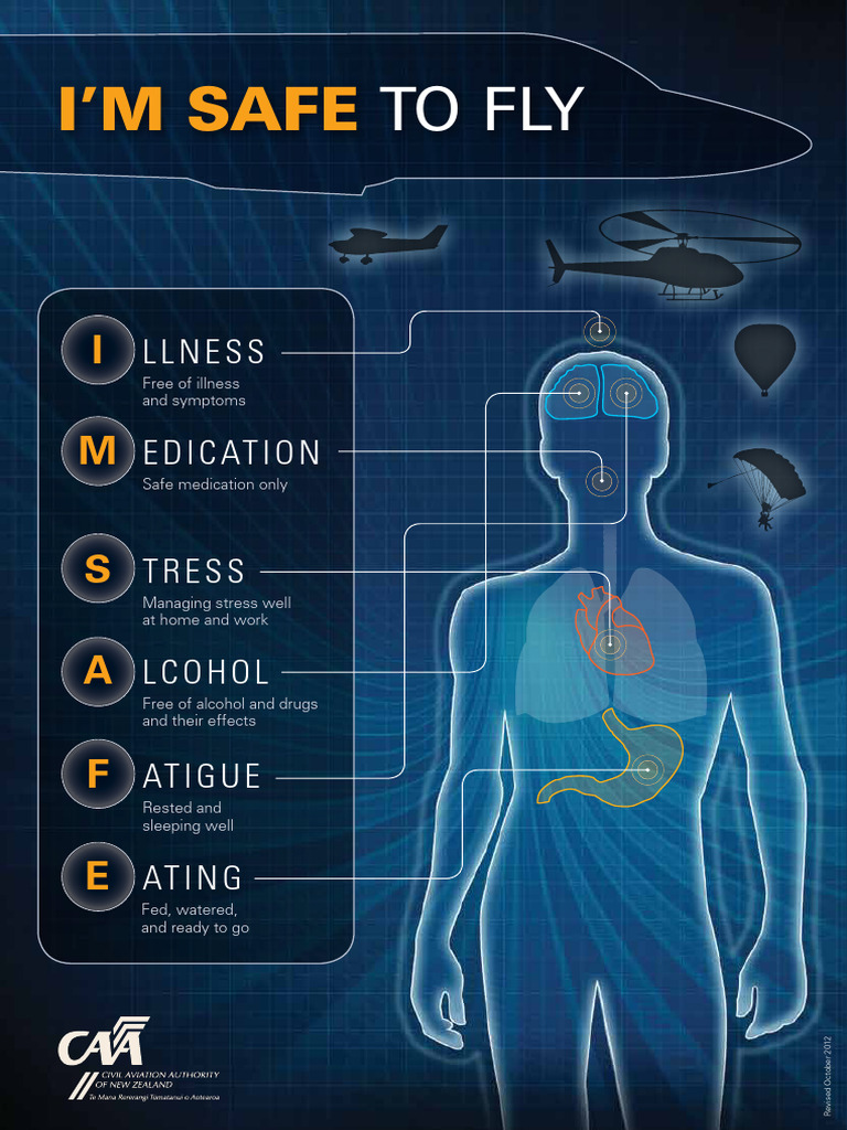 Im Safe To Fly | PDF