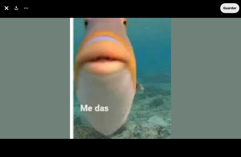 como cuando te estas comiendo papas y tu hermano viene de latoso | PDF