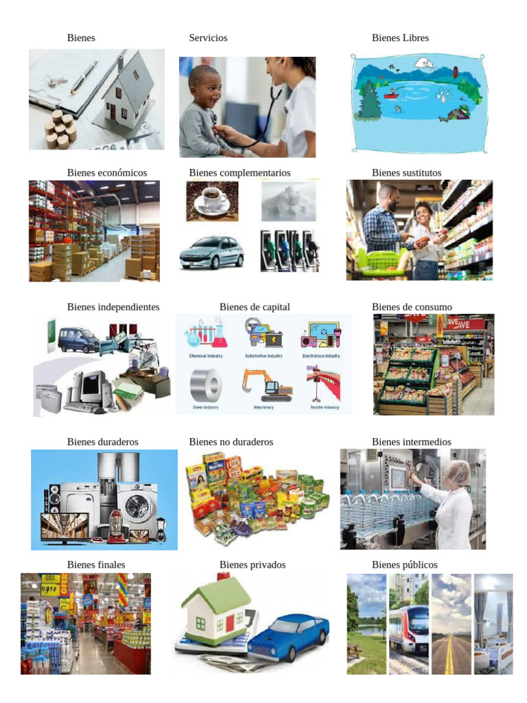 Bienes Servicios Bienes Libres | PDF