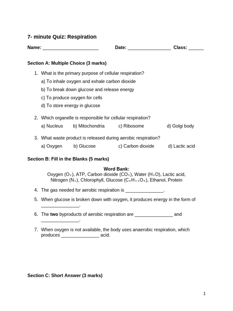 7 - Minute Quiz - Respiration | PDF