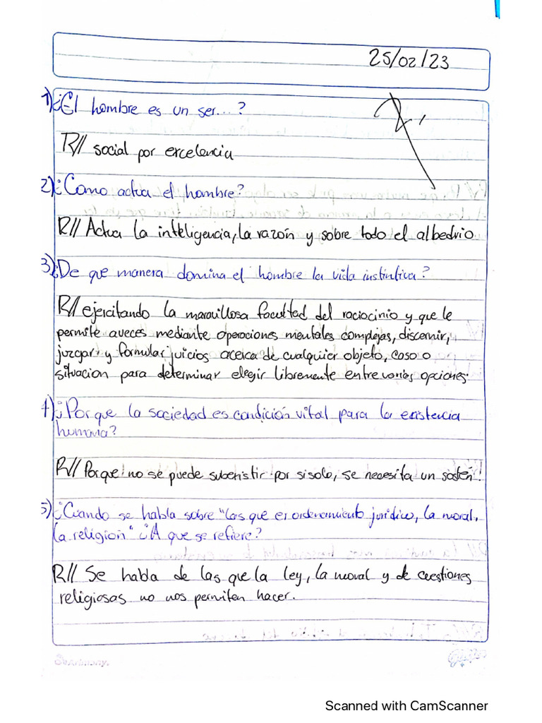 Preguntas Int. Al Derecho | PDF