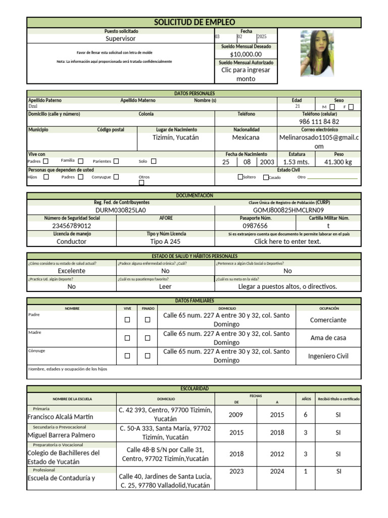 Solicitud de Empleo Detallada | PDF