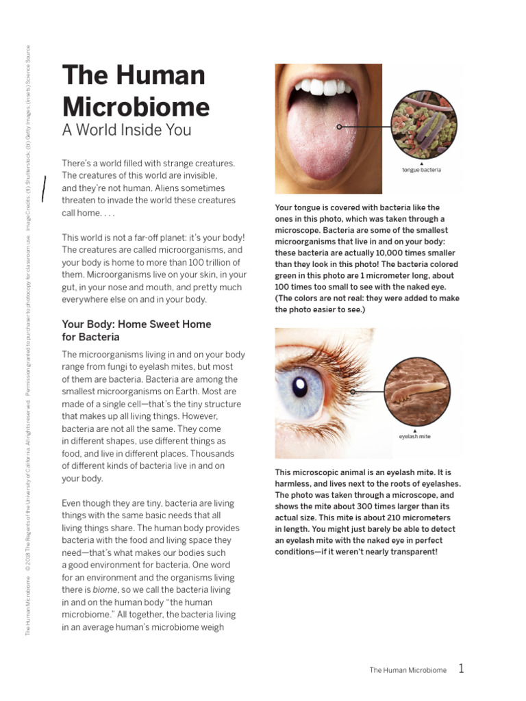 Printable Article The Human Microbiome | PDF | Bacteria | Infection