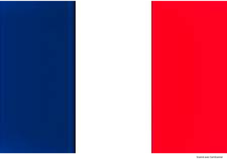 Drapeau de France | PDF