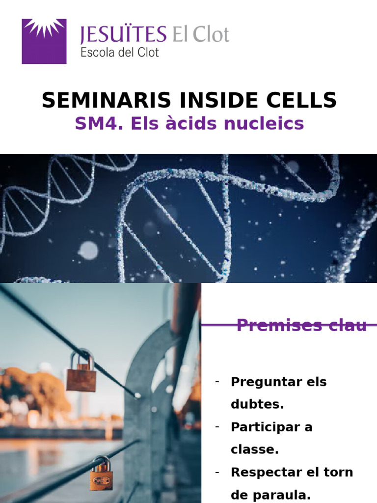 Els Àcids Nucleics | PDF