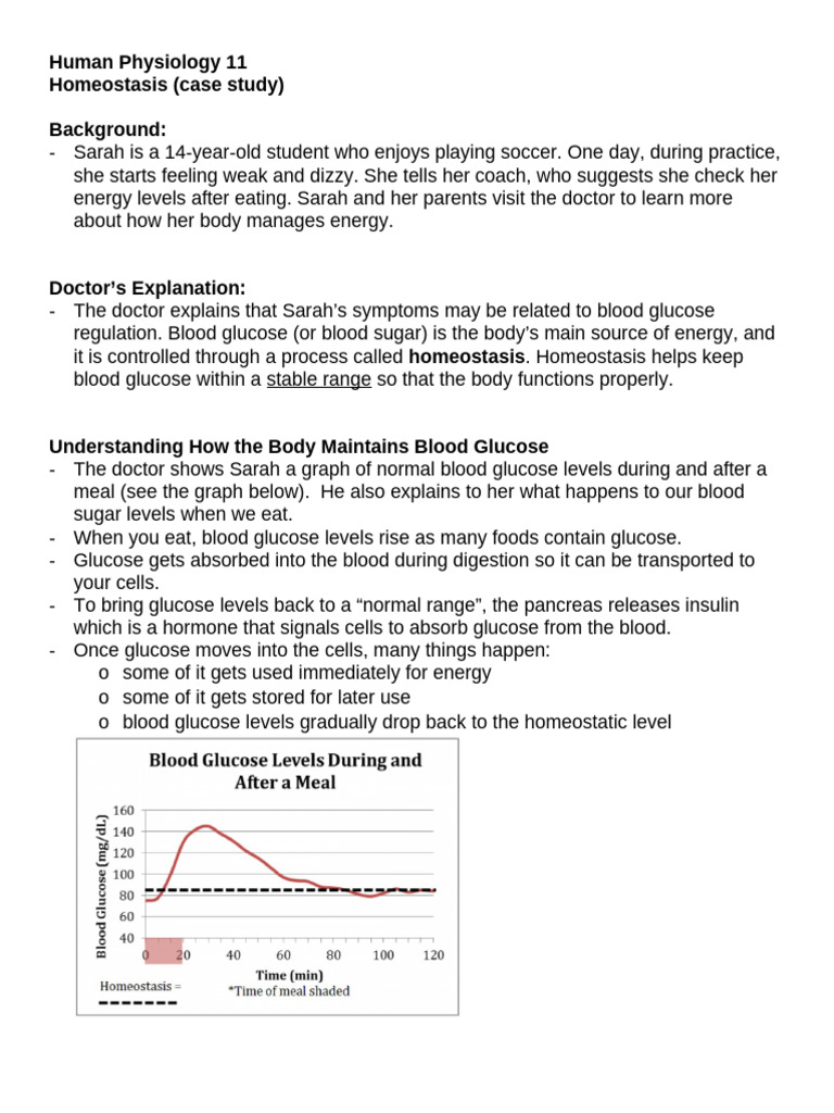 Human Phys 11 - Homeostasis (Case Study) | PDF