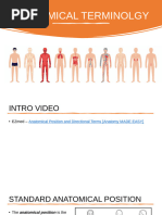 Brain Anatomical Directional Terms | PDF