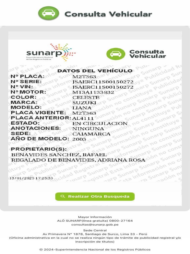 Consulta Vehicular | PDF